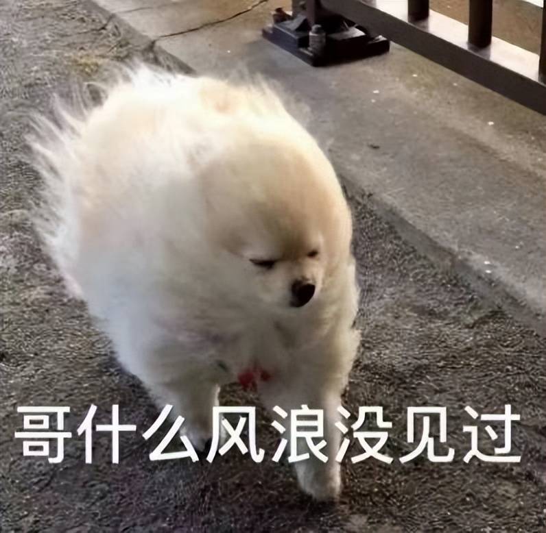 10万级国产SUV购车推荐，哈弗H6、长安欧尚X7PLUS、捷途X70PLUS怎么选？_搜狐汽车_搜狐网