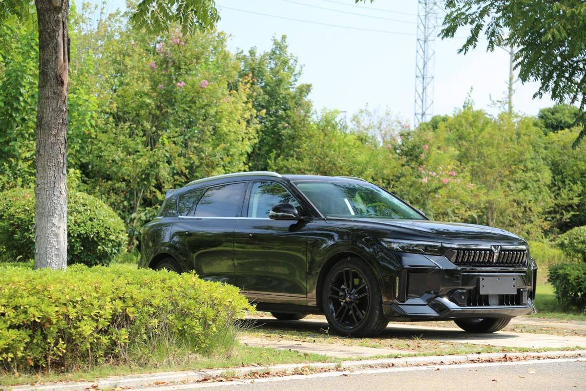 豪华新能源SUV大PK，对比新岚图FREE和新问界M7，我发现了差距_搜狐汽车_搜狐网