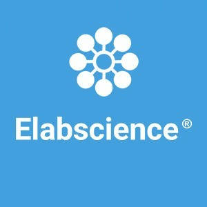 科研 “时间杀手” 克星！Elabscience 细胞外酸化率（ECAR）荧光法测试盒：1 小时解锁细胞外酸化率奥秘_代谢_检测_研究