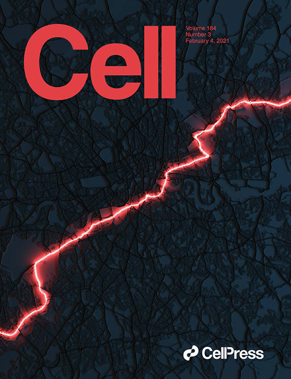 科学与艺术的结合！《cell》100张期刊封面鉴赏｜2021年篇绘图