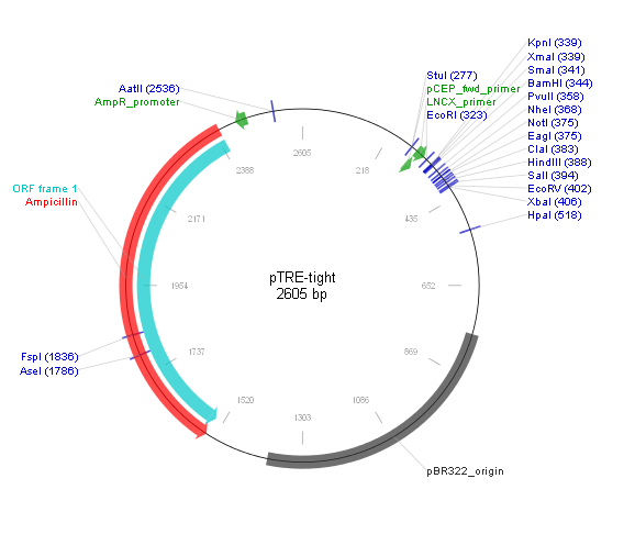 pTRE-Tight载体质粒图谱、序列、说明书、价格_in_The_Tet-Off