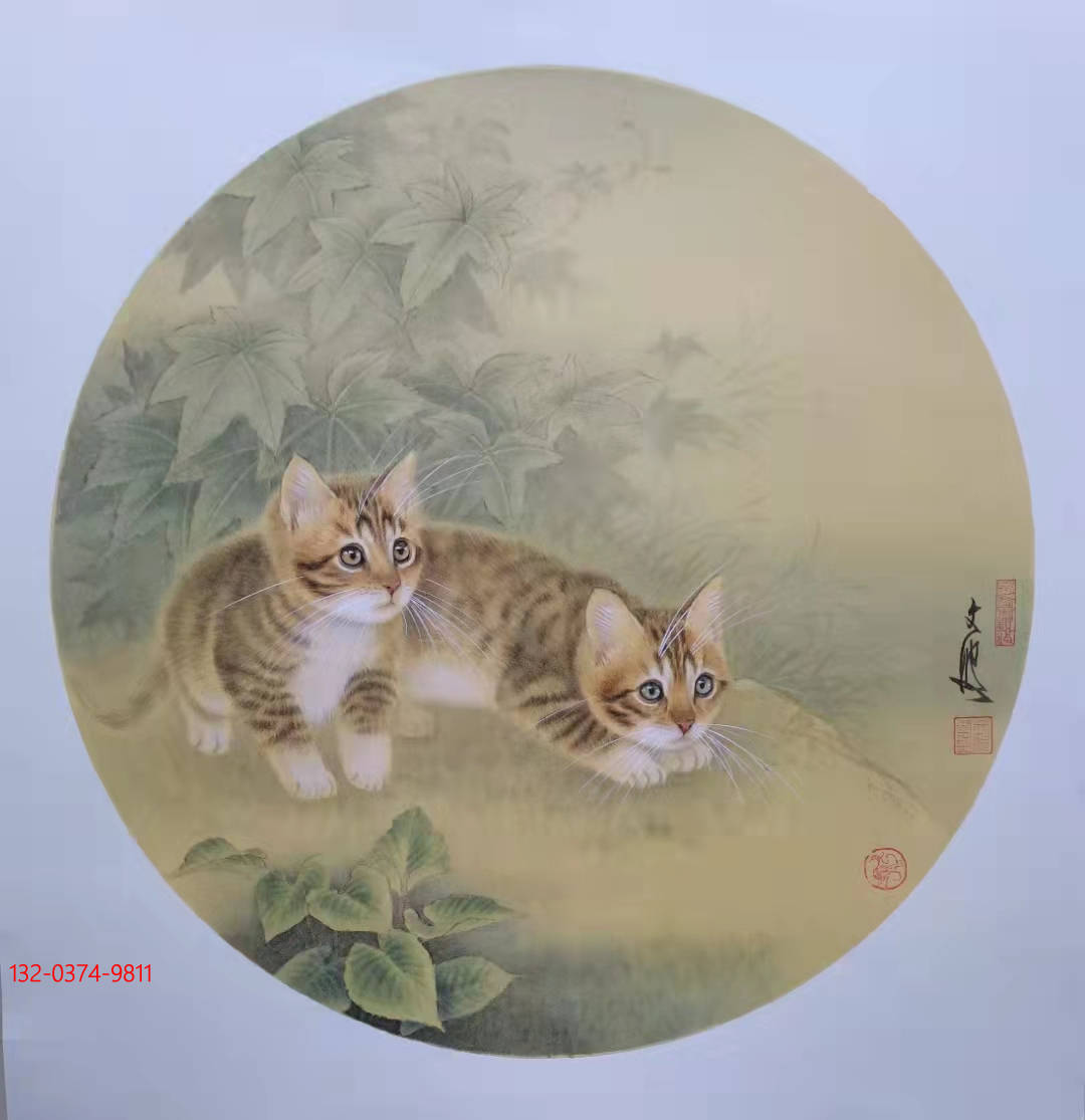 画家王文波国画猫作品集-搜狐大视野-搜狐新闻