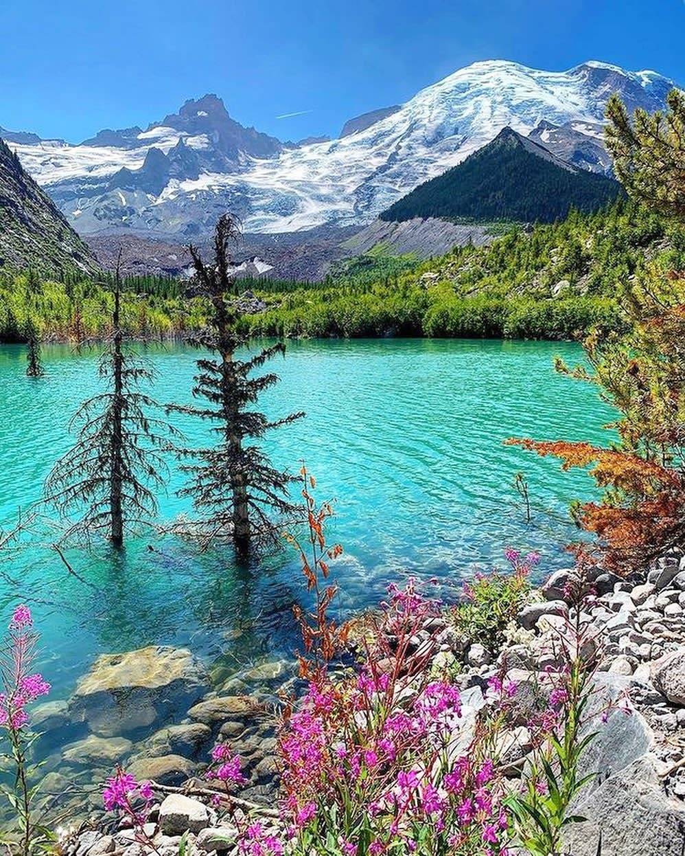 自然之美 妙不可言 (0902)-搜狐大视野-搜狐新闻