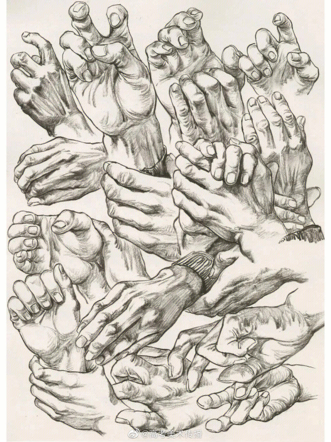 速写干货 | 速写局部手部多角度素材-搜狐大视野-搜狐新闻