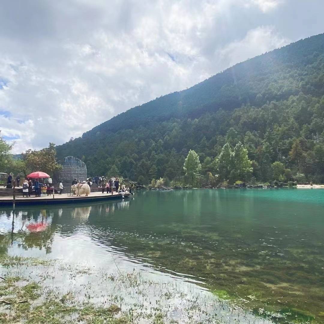 失之东隅，收之桑榆-搜狐大视野-搜狐新闻