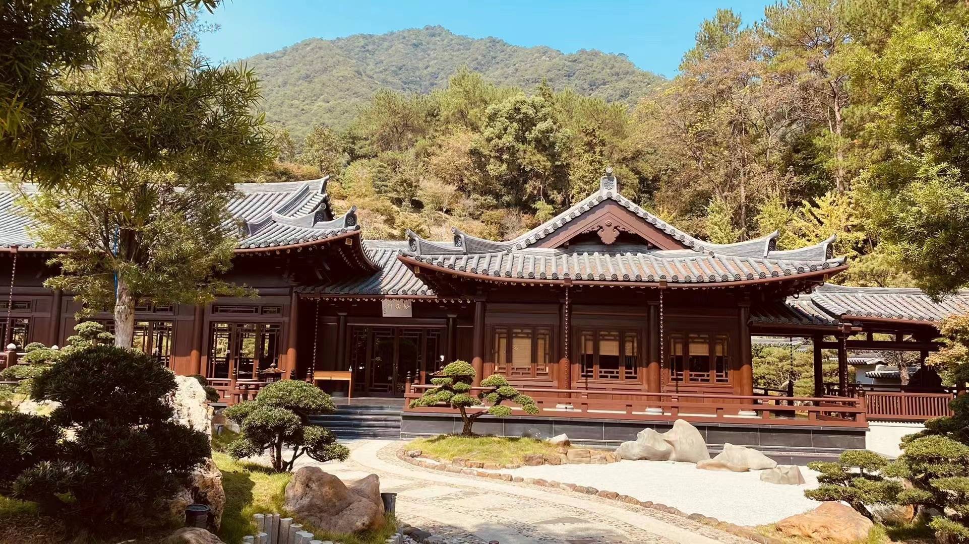 失之东隅，收之桑榆-搜狐大视野-搜狐新闻