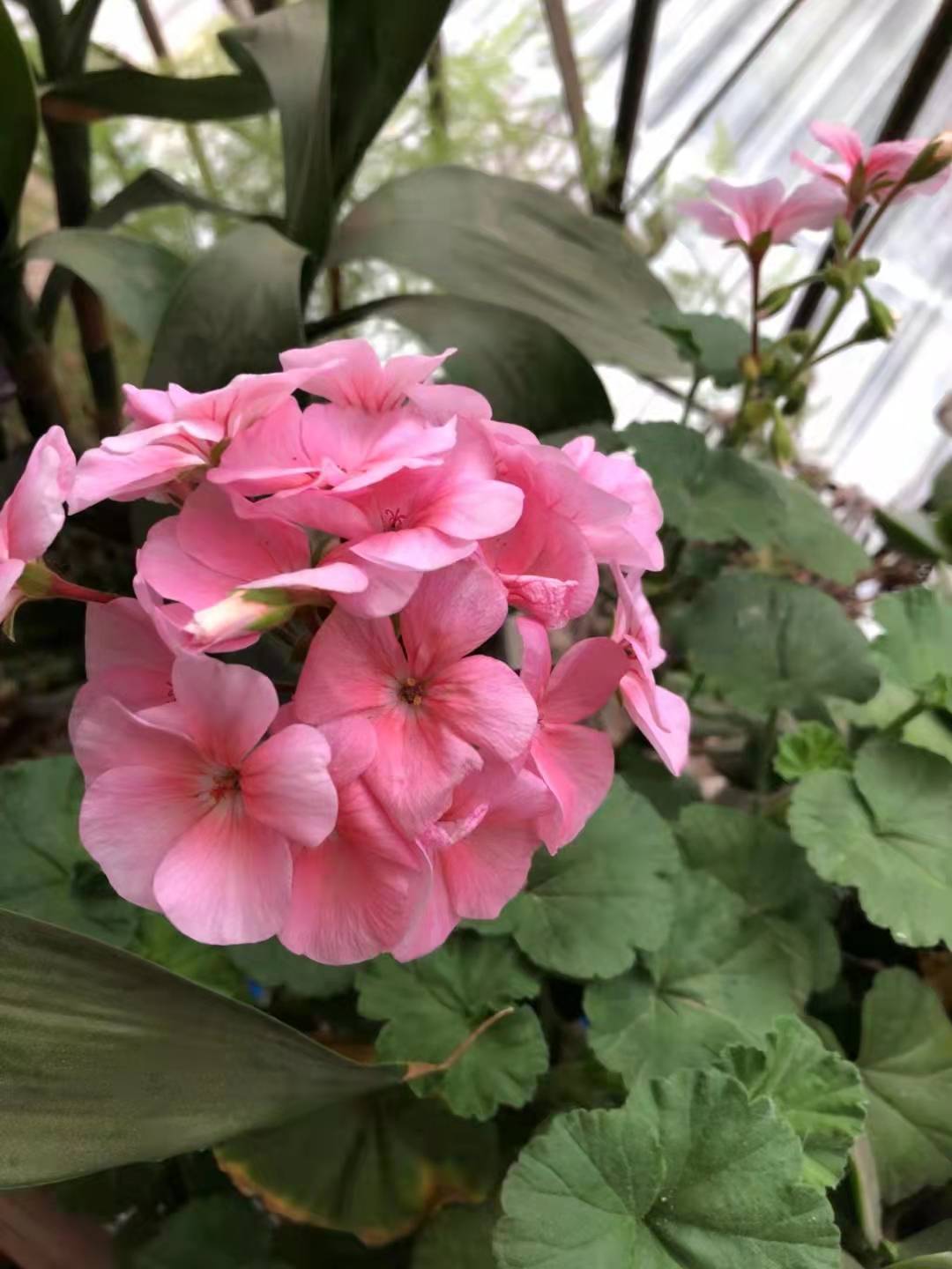 我知道,你是我今生最美的相遇 搜狐大视野 搜狐新闻