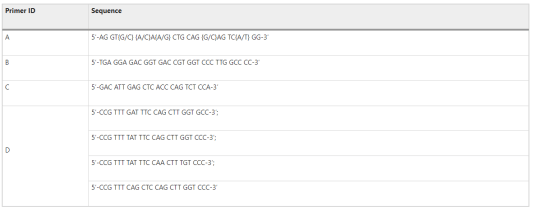 贝伐珠单抗的单链抗体有肿瘤治疗的潜力？_scFv_mAb_细胞