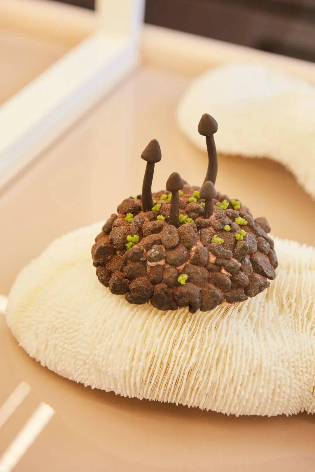 探店 | NUDAKE，来自火星的艺术品你吃过吗？_地球