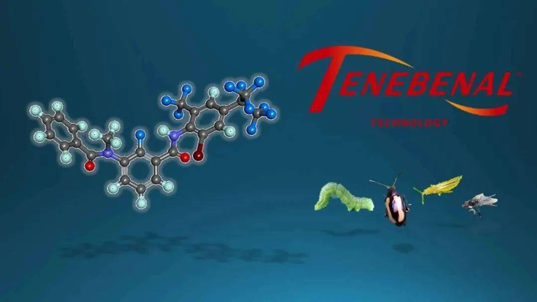 三井化学Agro专利化合物Tenebenal®拟在中国获批登记，抗性害虫治理迎来新武器！_全球
