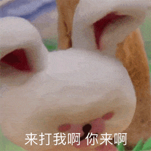 抖音最近热门表情包合集，又萌又可爱！-搜狐大视野-搜狐新闻