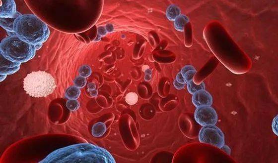 关于炎症和感染_反应