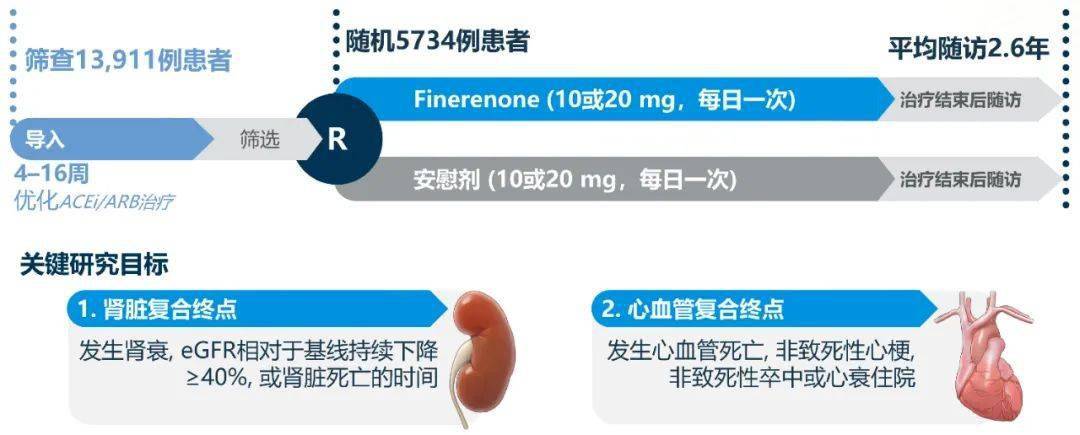 2020ASN震撼公布！FIDELIO-DKD研究：慢性肾病合并糖尿病患者应用Finerenone心肾获益_治疗