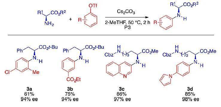 第六代Buchwald预催化剂—默克为您提供化学品大包装及定制解决方案_反应