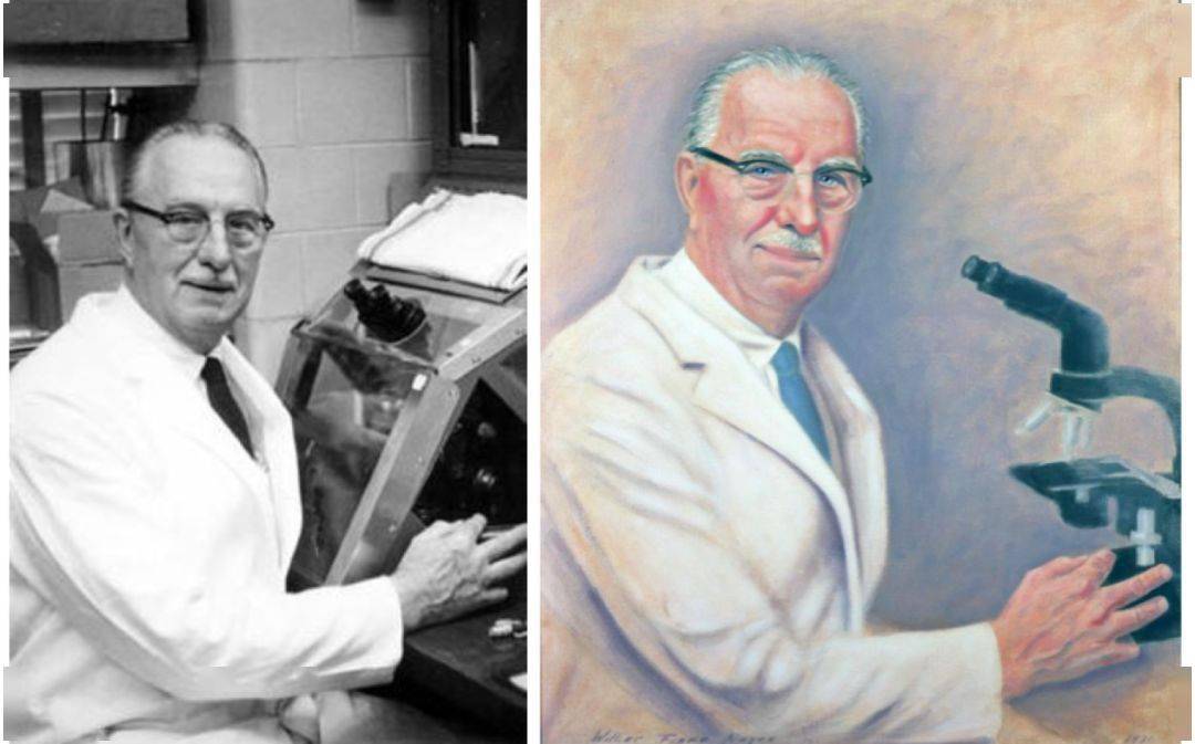 她被医生私自摘取组织，众人研究发了 6 万篇论文，时隔 70 年终获赔偿_HeLa