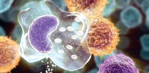 【干货】外泌体研究常见问题_细胞