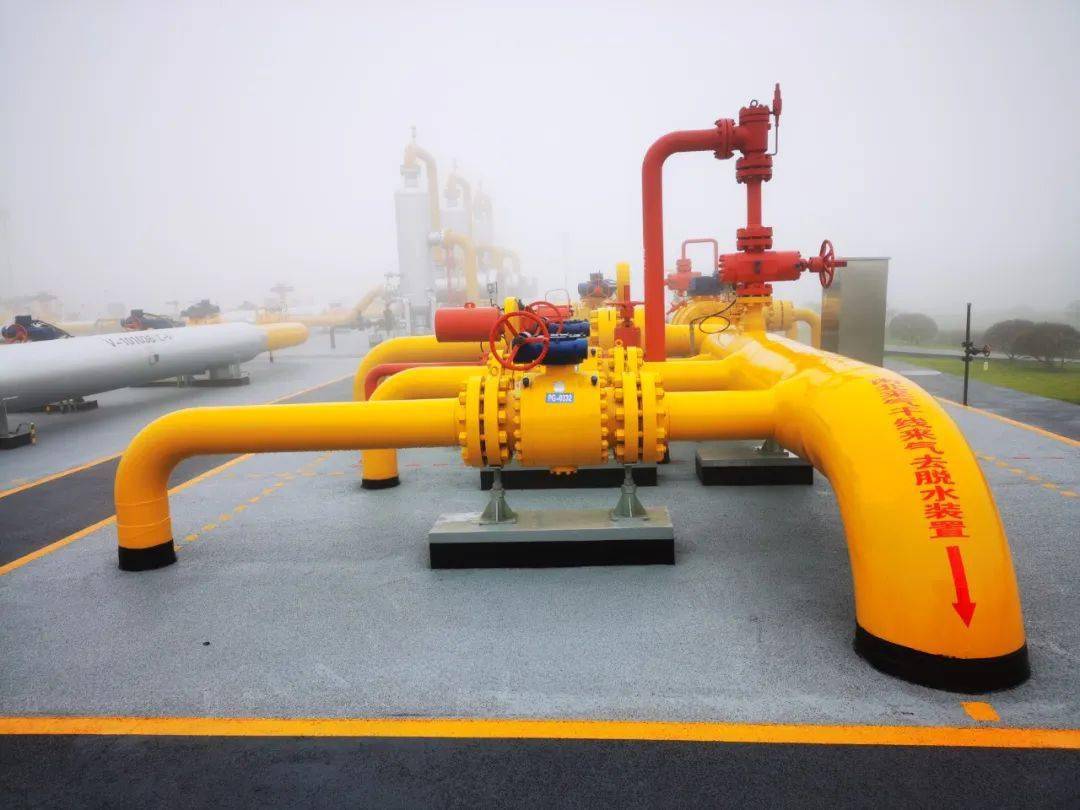 【石油观察家】盘点“十三五”我国天然气发展_变革