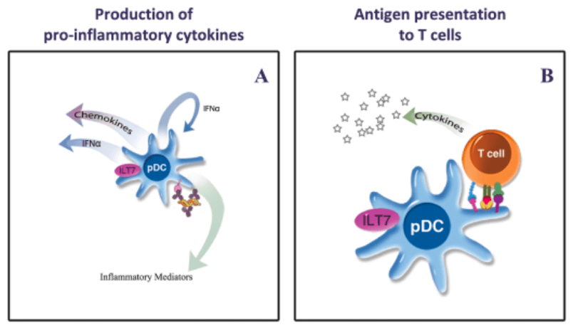 探针资本_上市公司分析： Viela Bio_免疫