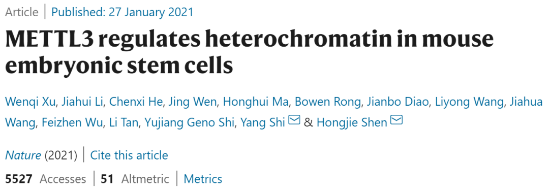 Nature | 复旦沈宏杰/牛津施杨等，研究揭示METTL3调控小鼠胚胎干细胞异染色质形成的机制_调节