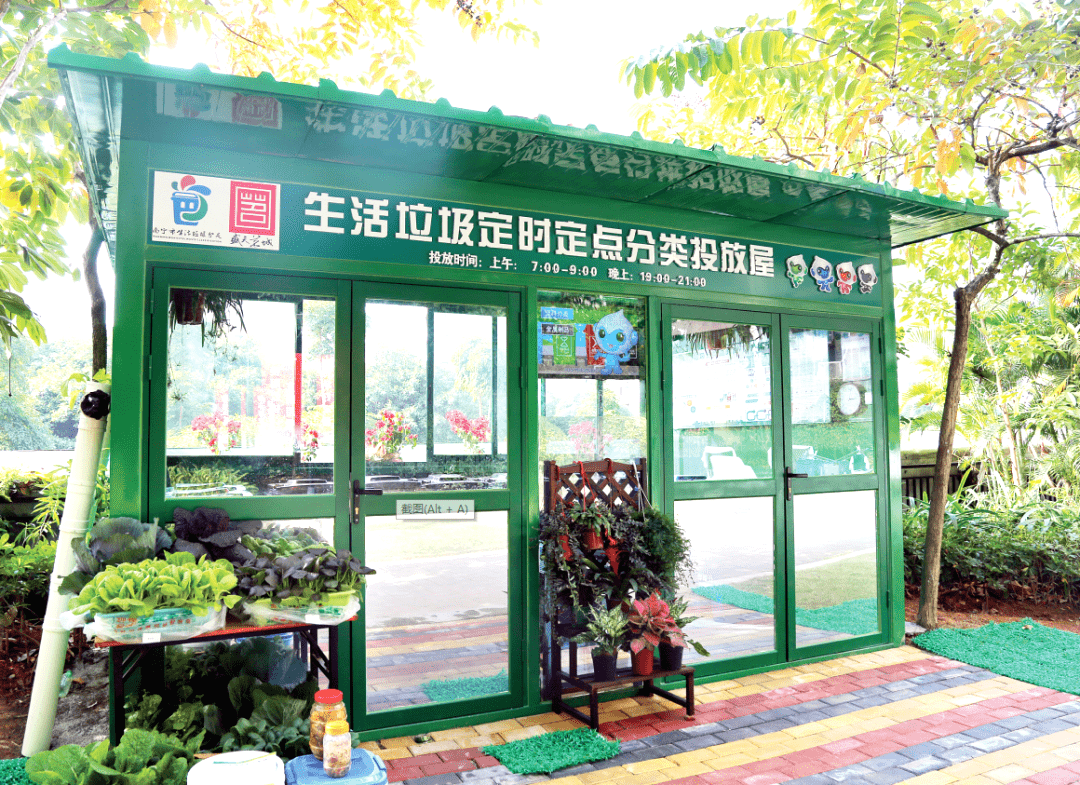 青秀区:定时定点促分类 升级设施添便利 垃圾