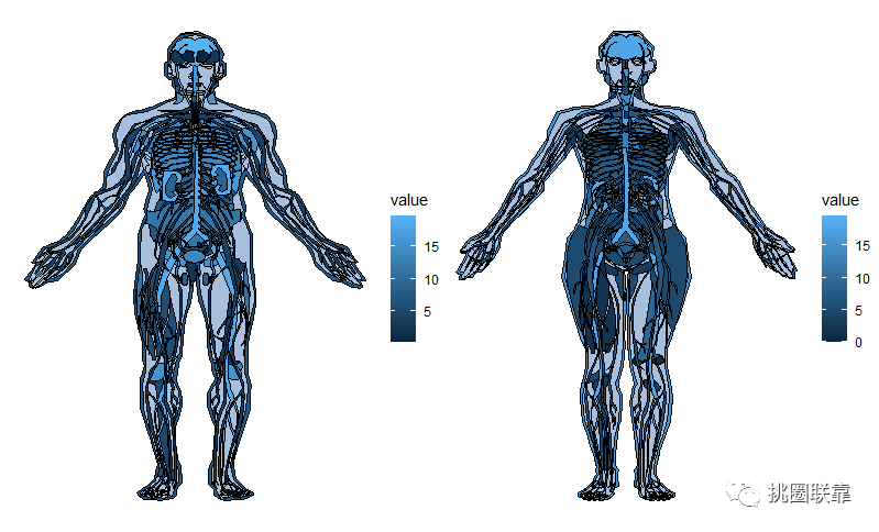 画人画鼠画细胞，精美的生信解剖图送给大家_器官