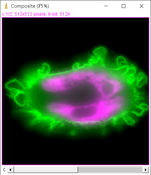 老司机带你使用ImageJ高效分析图片_tools