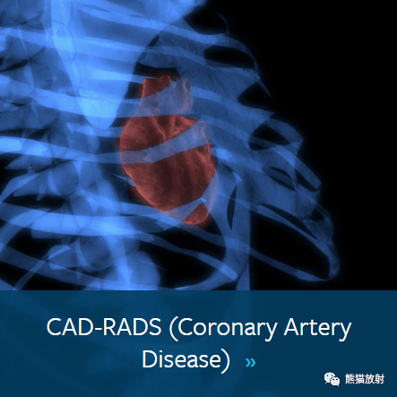 CAD-RADS 冠状动脉疾病报告和数据系统_诊断
