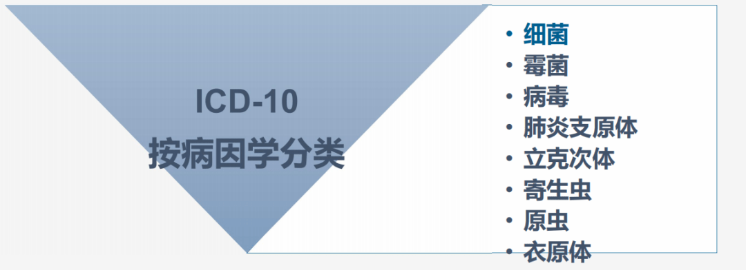 经典总结：呼吸系统疾病及手术操作ICD编码要点全解析_气胸