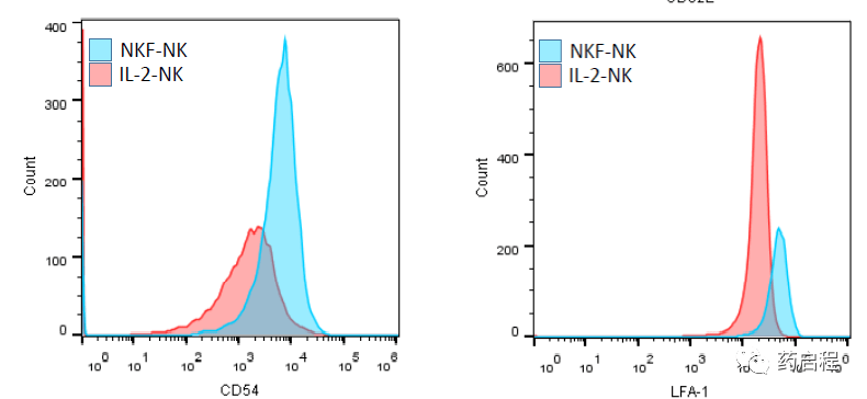 mIL-21 的 NK饲养细胞驱动 NK 细胞的强劲扩增和代谢激活_mbIL-