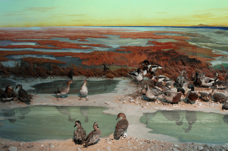 弘明带你英文看展——老铁山自然保护区_the