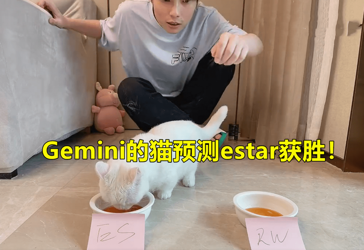 GK爆冷战胜AG，Gemini的猫已经三杀，SK在线喊话：你真牛啊_比赛