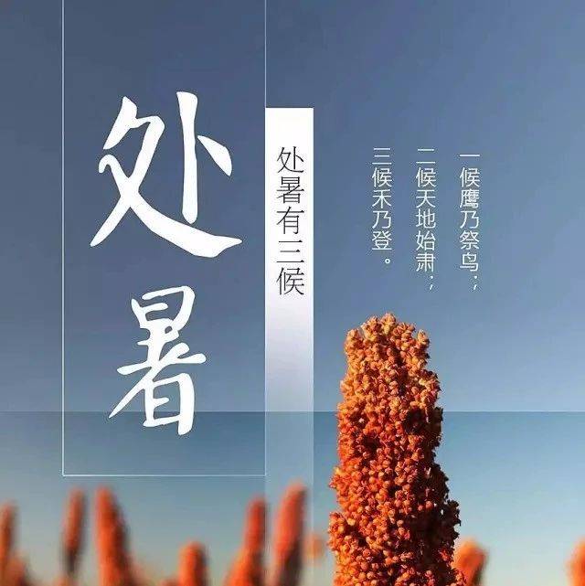 今日今日处暑!气收禾黍熟,风静草虫吟处暑!气收禾黍熟,风静草虫吟暑气