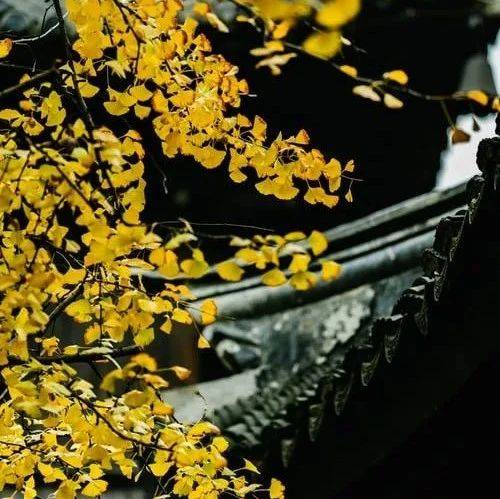 静而不争,一切随缘rhsy