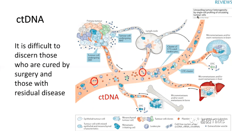 《Nature》：ctDNA-MRD助力尿路上皮癌的个体化诊疗！_研究