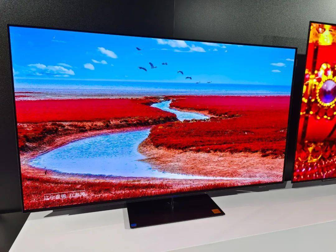 打破显示色准天花板 创维发布OLED S82等多款新品电视_产品
