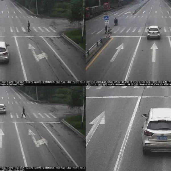 林州：不礼让斑马线车辆曝光_违法