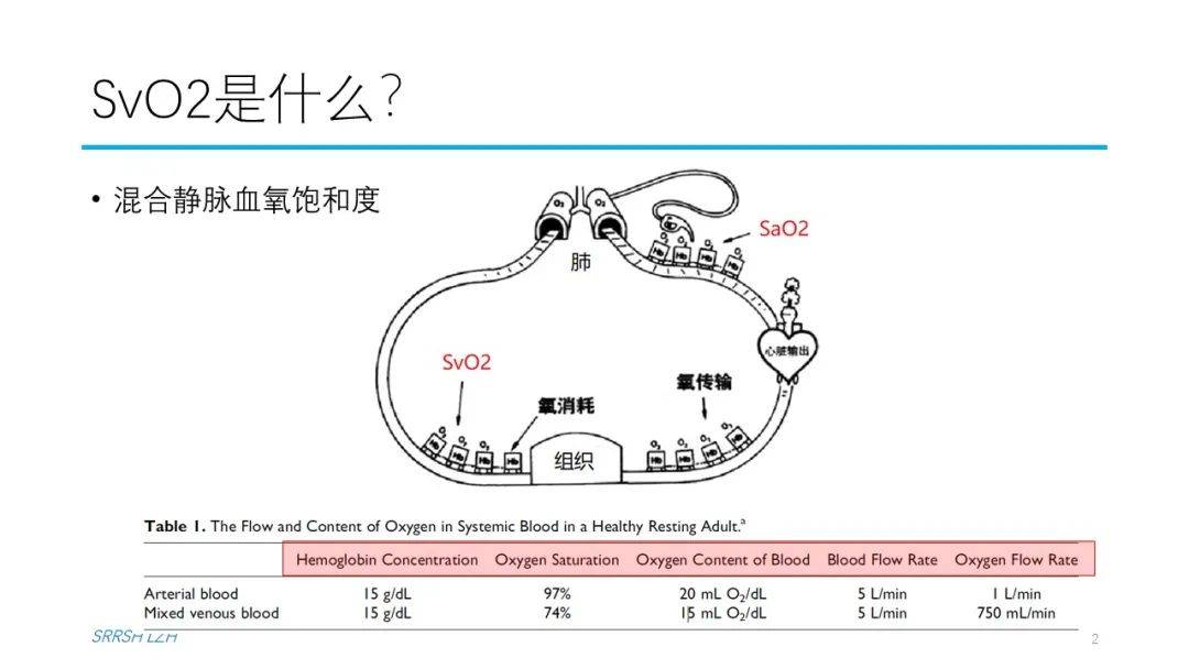PPT：SvO2/ScvO2_cn