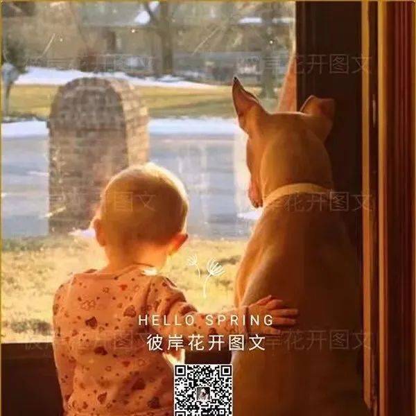 【箴言品读】不要试图去唤醒一个不愿意醒来的人暖意