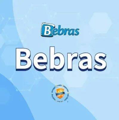 Bebras | 计算思维—通向AI时代的钥匙_测评_活动_国际