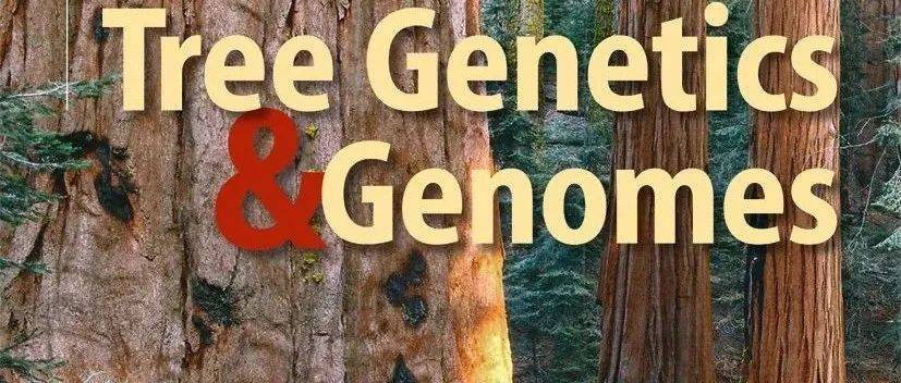 【Tree Genetics & Genomes专刊征稿】树种的权衡：在全球变化背景下对适应潜力和实用育种的影响_研究_条件下_性状