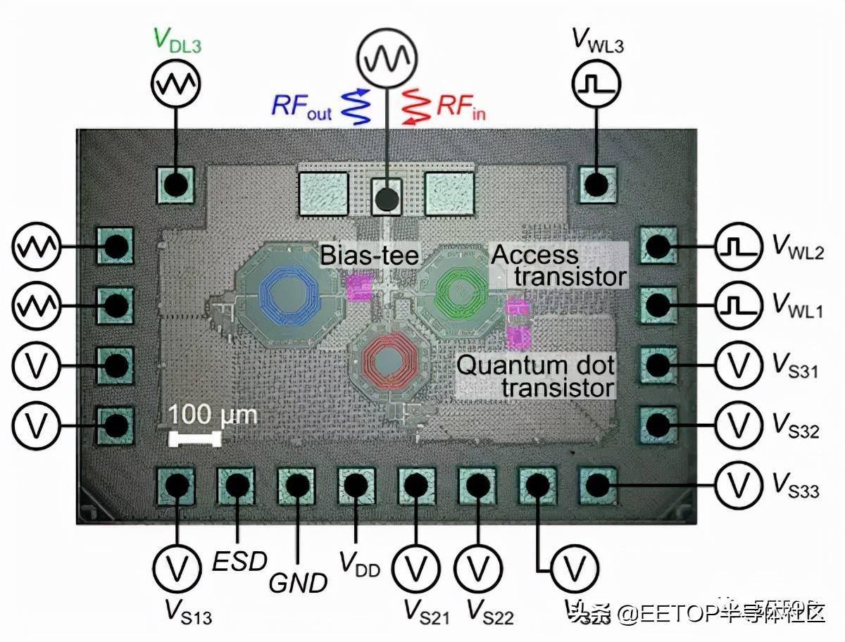 国外CMOS量子芯片的新进展_SeeQC_技术_项目