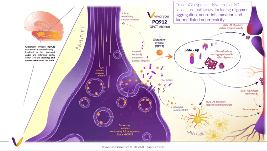先声药业申报阿尔茨海默病新药_临床_神经_pGlu-A