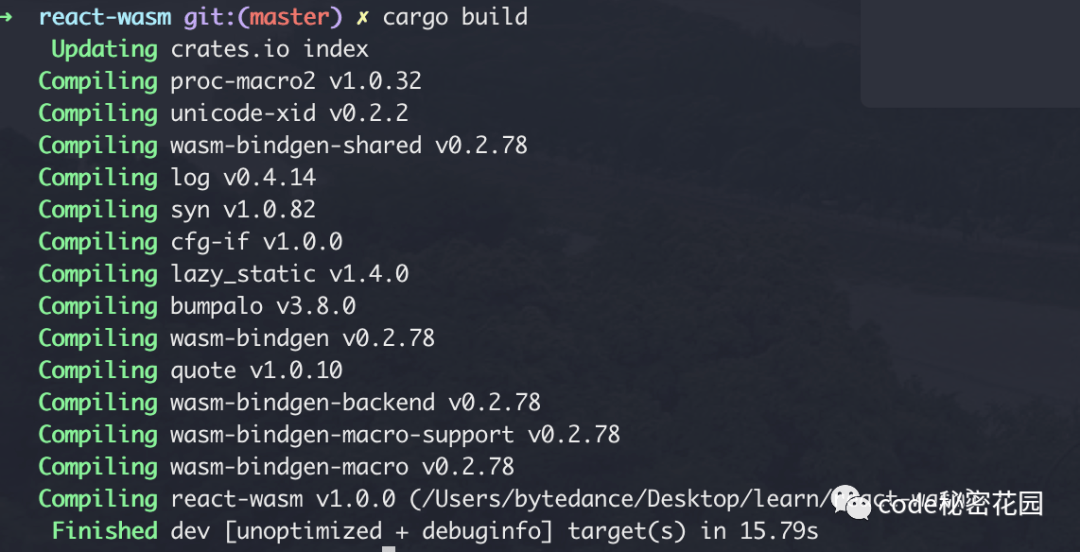 使用 Rust 编写更快的 React 组件_Wasm_运行_开发