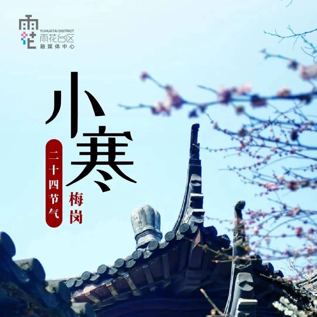 今日小寒:愿你不畏严寒关,终迎春日暖莫怪严丛茅雉隐