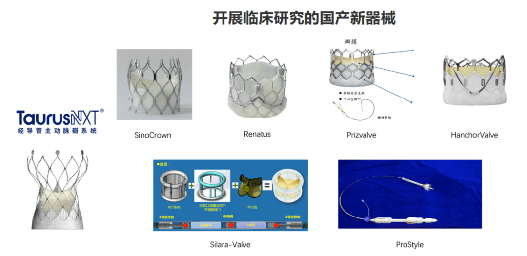 结构2021年度报告（TAVR篇） | 宋光远教授：TAVR领域进展如火如荼，国内外热点层出不穷_患者_瓣膜_手术