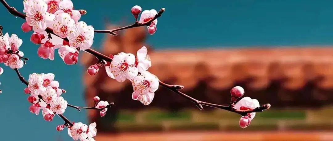 今日大寒丨一年终章，静待春归海伦钢琴节气