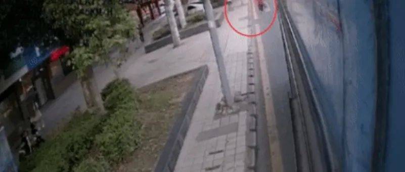 90后女海归在北京做住家保姆，月薪1万5被群嘲：生活面前，谁也别教谁做人 尼莫 孩子 李瑞丰