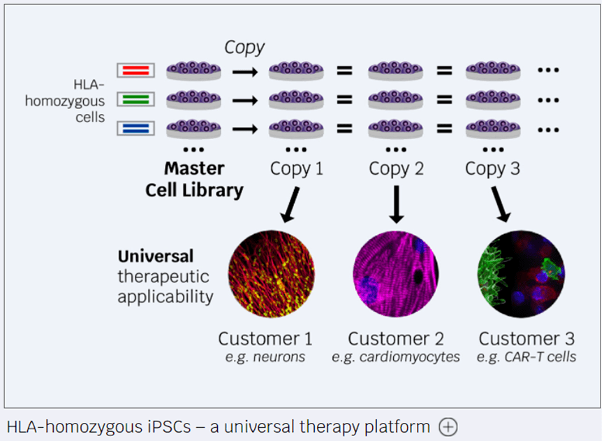 40家干细胞治疗企业_开发_工程_公司