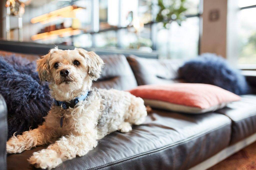 FILA 斐乐酒店将落地上海，运动跨界酒店会有什么惊喜？_搜狐网
