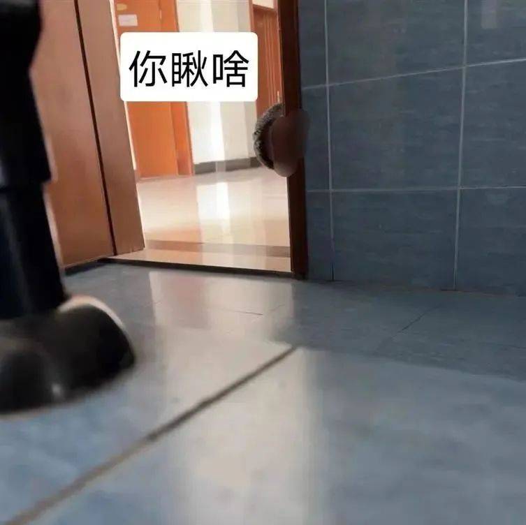 一大学男教师偷窥女厕所？回应来了高校副教授疑偷窥女厕被停职相关南京